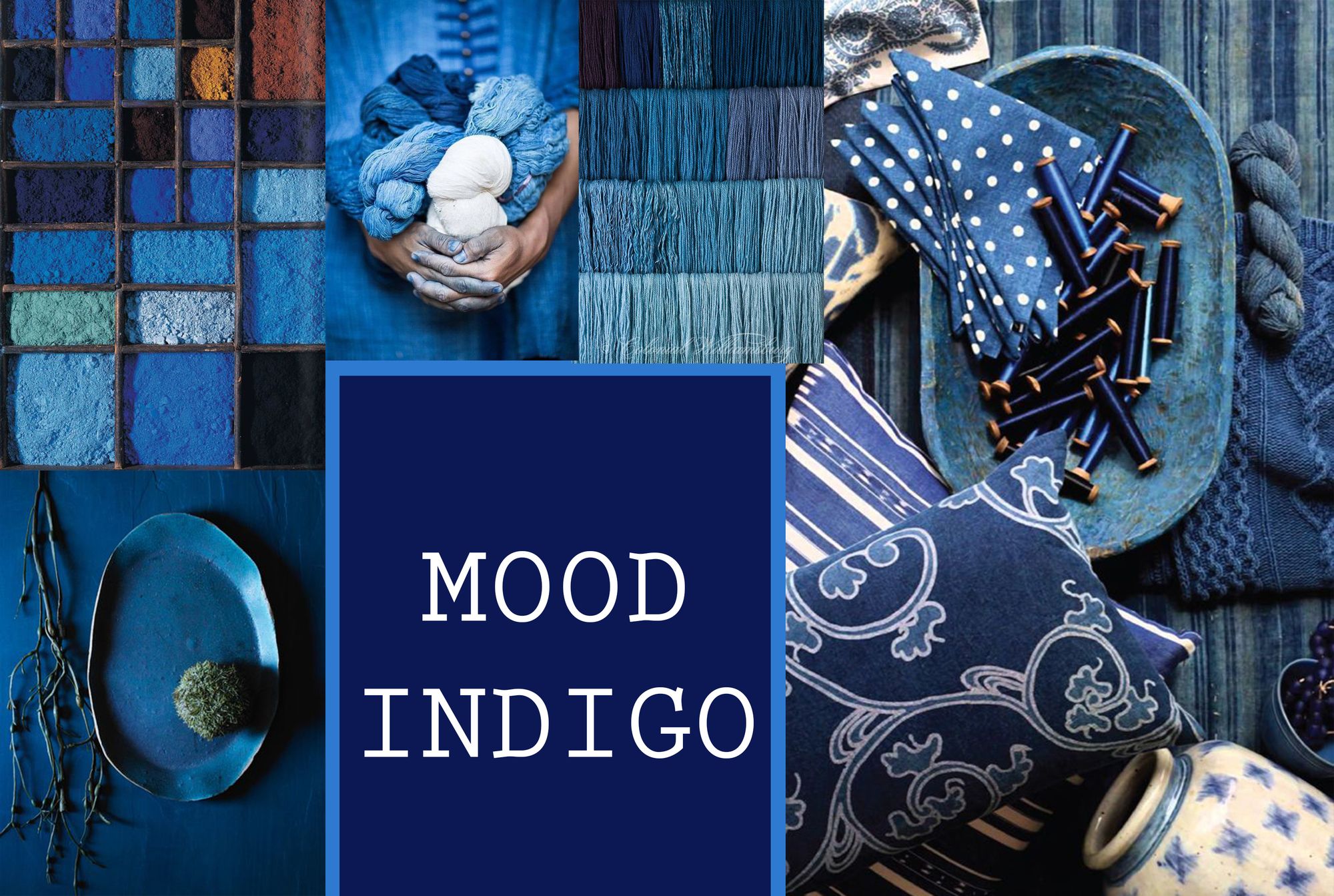This Is All You Need To Know About The Indigo Fabric | Indigo plant was ...